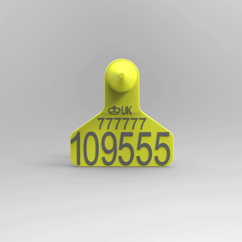 Zee Tag Medium Yellow Official ID Tags – Lazer Tags